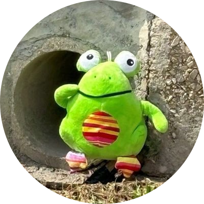 Adventures of Frop (FROP) - Price, Charts and Market Cap | CoinMun