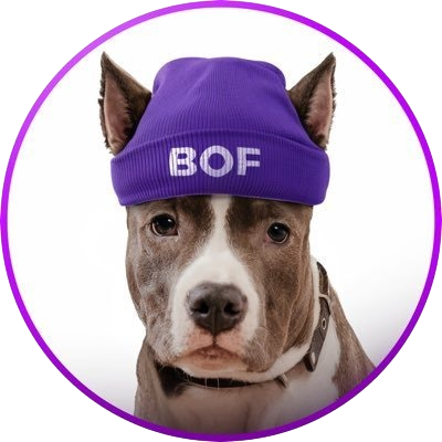 Balls of Fate ($BOF) - Price, Charts and Market Cap | CoinMun