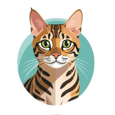 Bengal on Base (Bengal) - Price, Charts and Market Cap | CoinMun