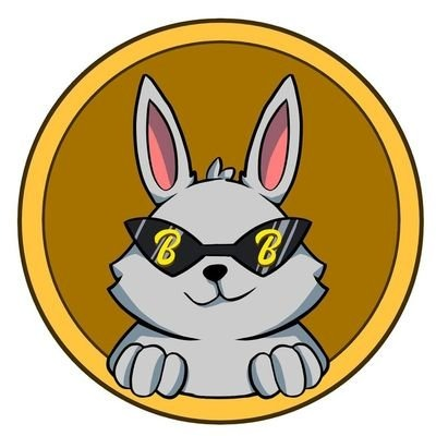 Bunny (Bunny) - Price, Charts and Market Cap - (Ethereum) | CoinMun