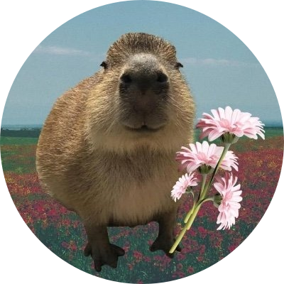 Capybara (CAPY) - Price, Charts and Market Cap - (Solana) | CoinMun