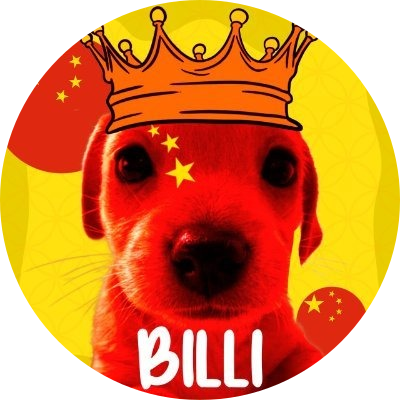 Chinese Billy (BILLI) - Price, Charts and Market Cap | CoinMun