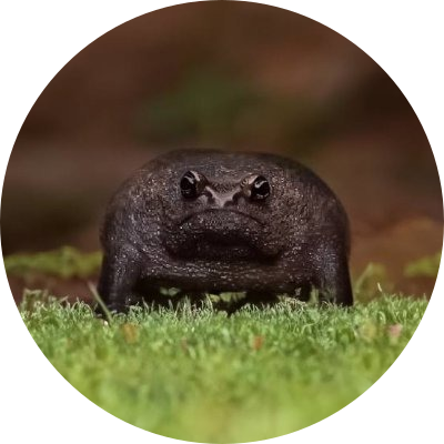 Frog (FROG) - Price, Charts and Market Cap - (Solana) | CoinMun