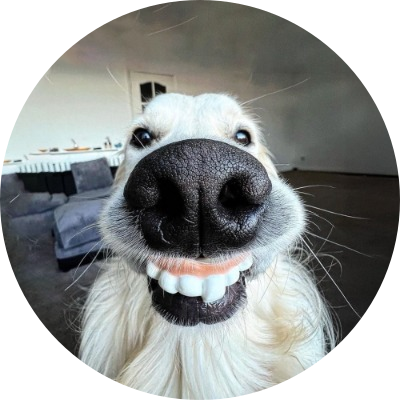 Goofy Goofer (GOOF) - Price, Charts and Market Cap | CoinMun