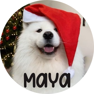 Maya (MAYA) - Price, Charts and Market Cap | CoinMun