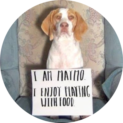 Maymo the lemon beagle (MAYMO) - Price, Charts and Market Cap | CoinMun