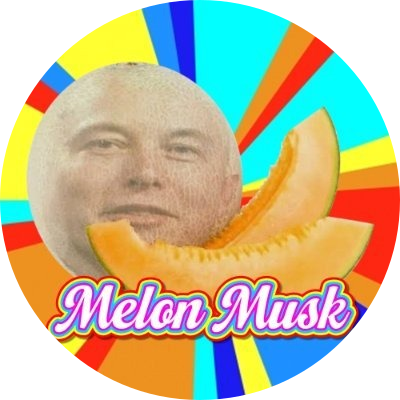 Melon Musk (MELON) - Price, Charts and Market Cap | CoinMun