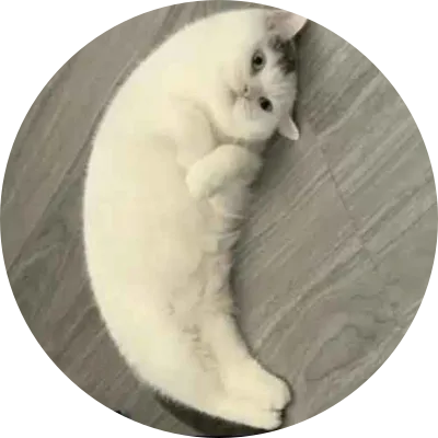 Mooncat (MOONCAT) - Price, Charts and Market Cap | CoinMun