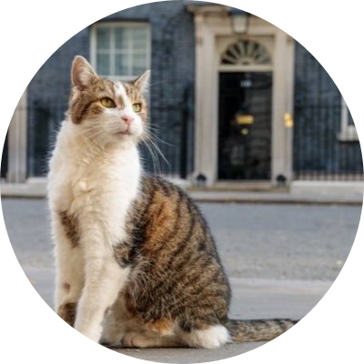 Number 10 Cat (Larry) - Price, Charts and Market Cap | CoinMun