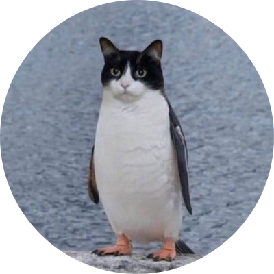 Penguin Cat (PAT) - Price, Charts and Market Cap | CoinMun