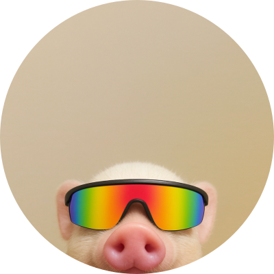 POG (POG) - Price, Charts and Market Cap - (Solana) | CoinMun