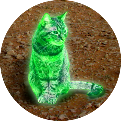 Ray Cat (RAYCAT) - Price, Charts and Market Cap | CoinMun