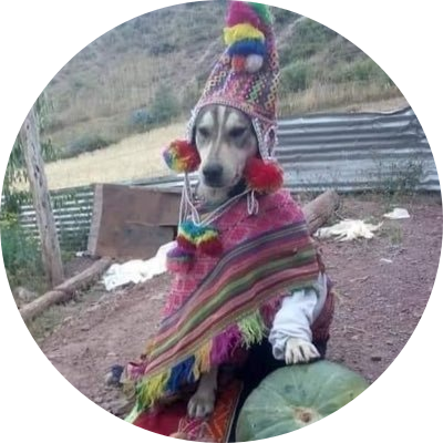 SHAMAN DOG (SHAMAN) - Price, Charts and Market Cap | CoinMun