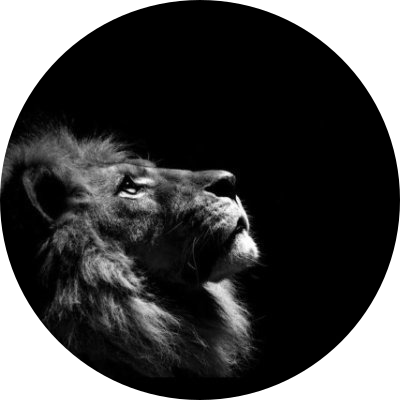 The Lion (LION) - Price, Charts and Market Cap | CoinMun