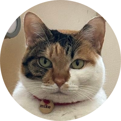 Totakeke's cat (MIKE) - Price, Charts and Market Cap | CoinMun